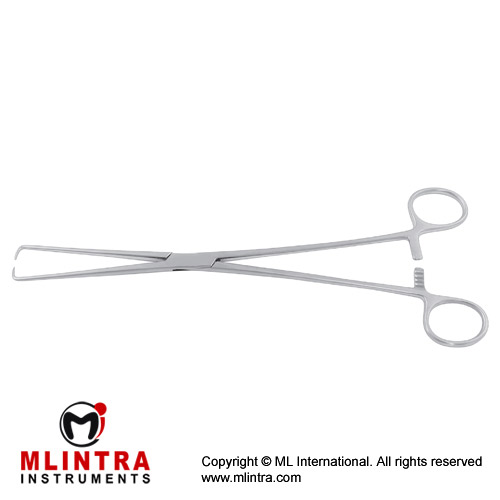 Braun Tenaculum Forcep Stainless Steel, 26 cm - 10 1/4"