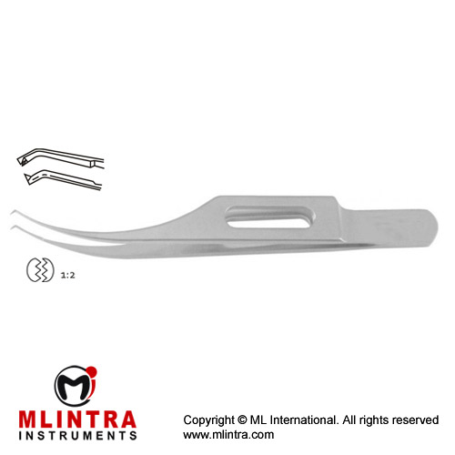 Colibri Corneal Forcep Standard 1 x 2 Teeth with Tying Platform ...