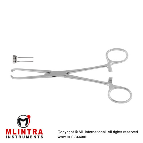 Allis Intestinal and Tissue Grasping Forceps 5 x 6 Teeth Stainless ...