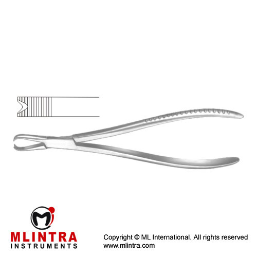 Bone Holding Forcep Stainless Steel, 20 cm - 8"